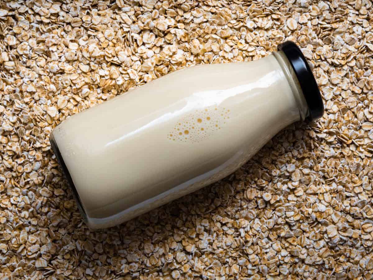 Lait d’Avoine Maison : Très Facile, Doux et Super Onctueux